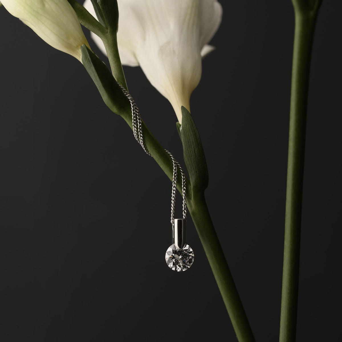 MJ Classics - sub-categories with all of them – MJ Jewellers Vancouver